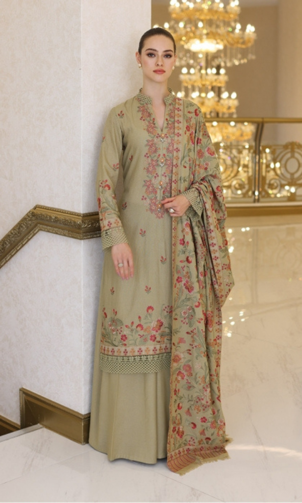 Bareeze 3PC - Heavy Embroidered Dhanak Suit ( Full Embroidered Dhanak ...